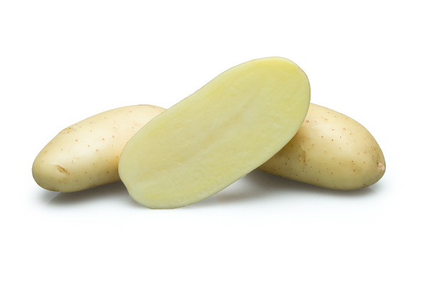 Santana: | STET Holland